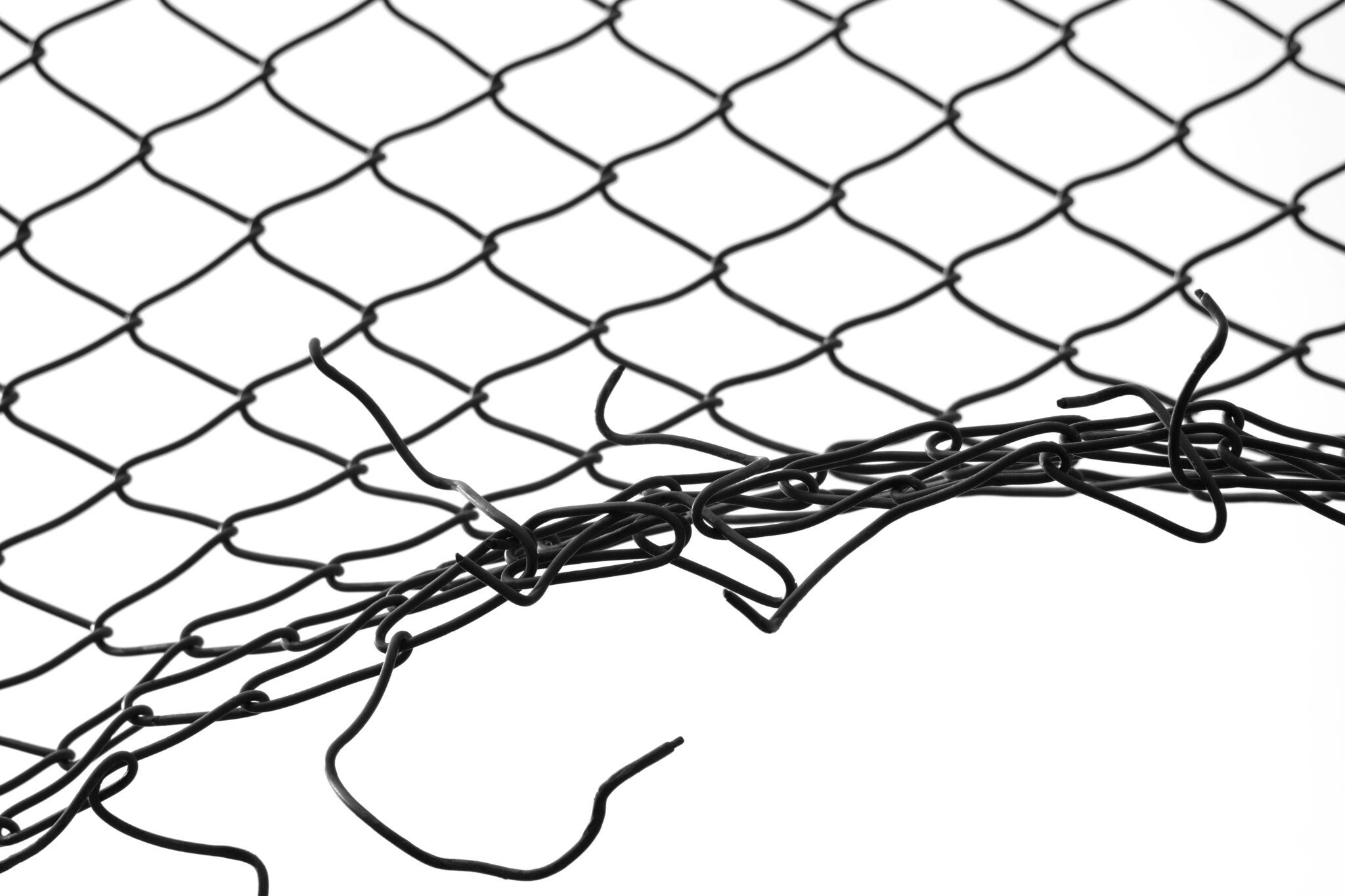 The Crazy Wire Company | Buy Mesh and Wire Materials